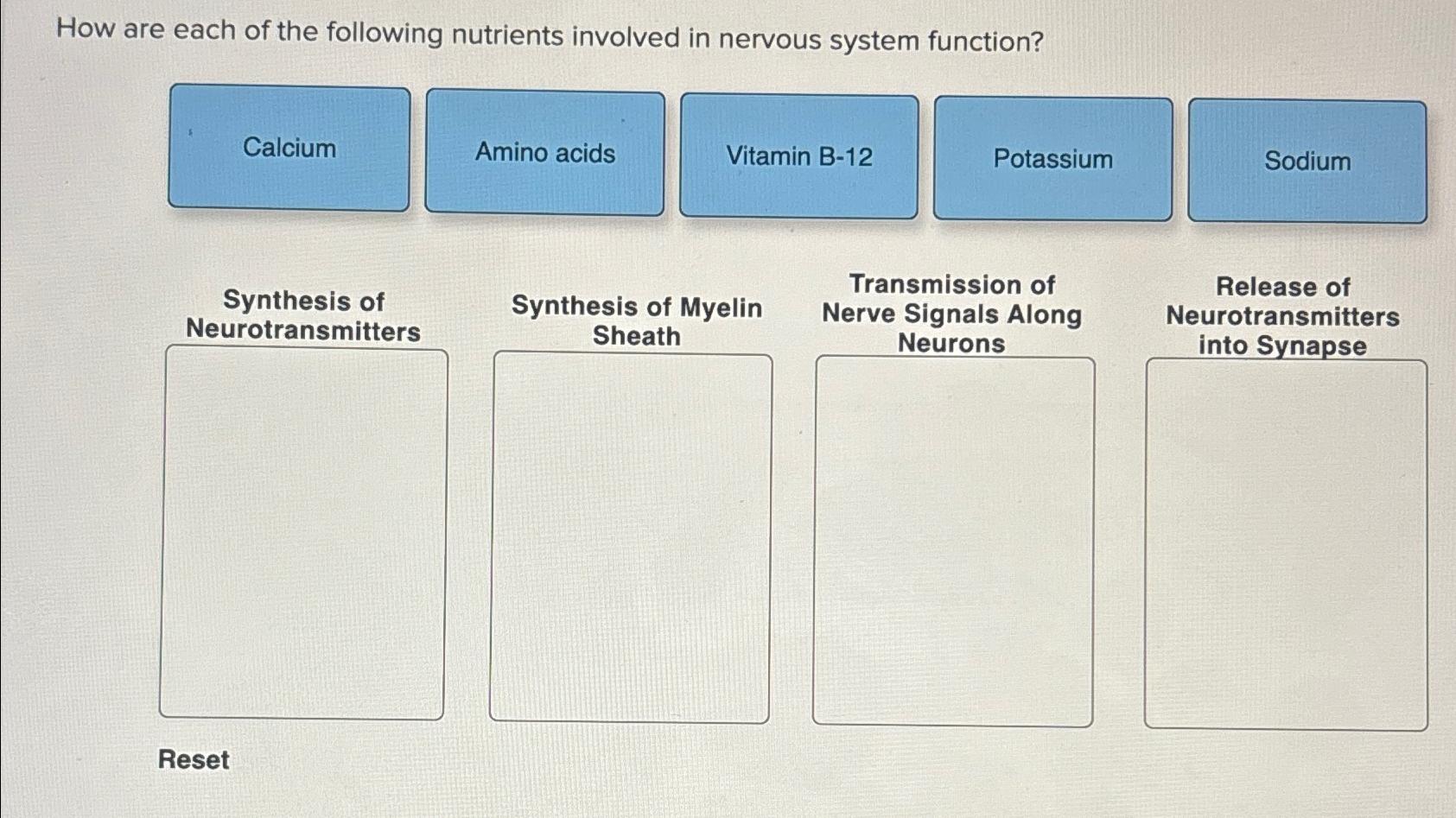 Solved How are each of the following nutrients involved in | Chegg.com