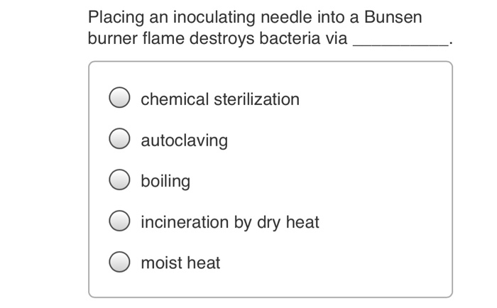 Solved: Placing An Inoculating Needle Into A Bunsen Burner... | Chegg.com