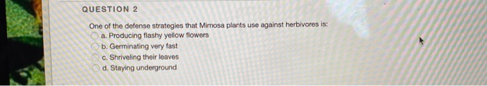 Solved QUESTION 2 One of the defense strategies that Mimosa | Chegg.com