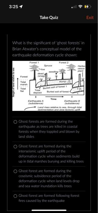 Solved Ghost forests are formed during the earthquake as | Chegg.com