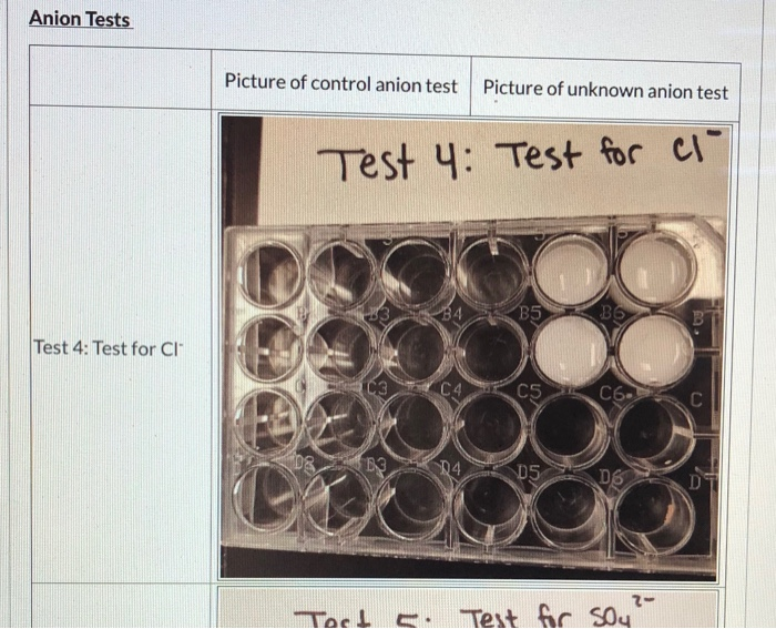 Solved Anion Tests Picture of control anion test Picture of | Chegg.com