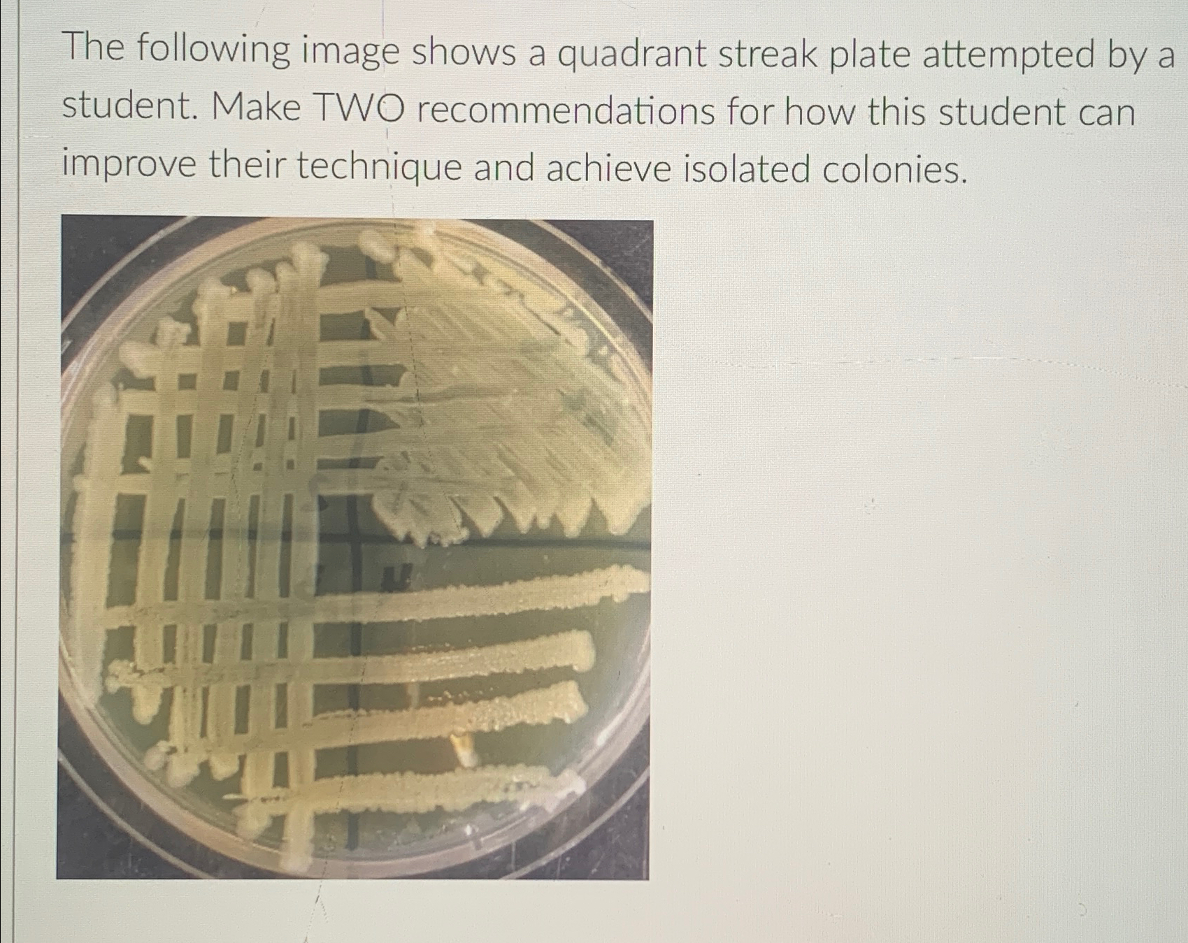 Solved The following image shows a quadrant streak plate | Chegg.com