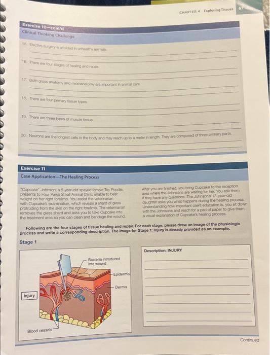 Solved Exercise 10-cont'd Clinical Thinking Challenge 15. | Chegg.com