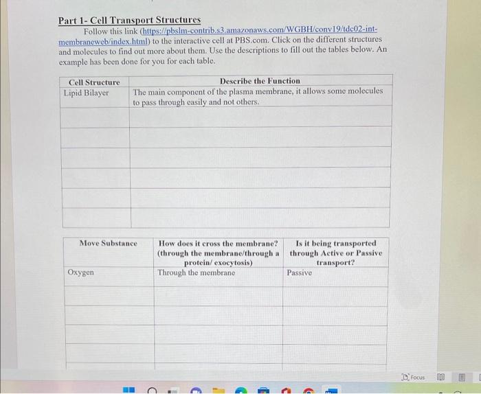 Section 6: Diffusion and Osmosis Instructions In this | Chegg.com