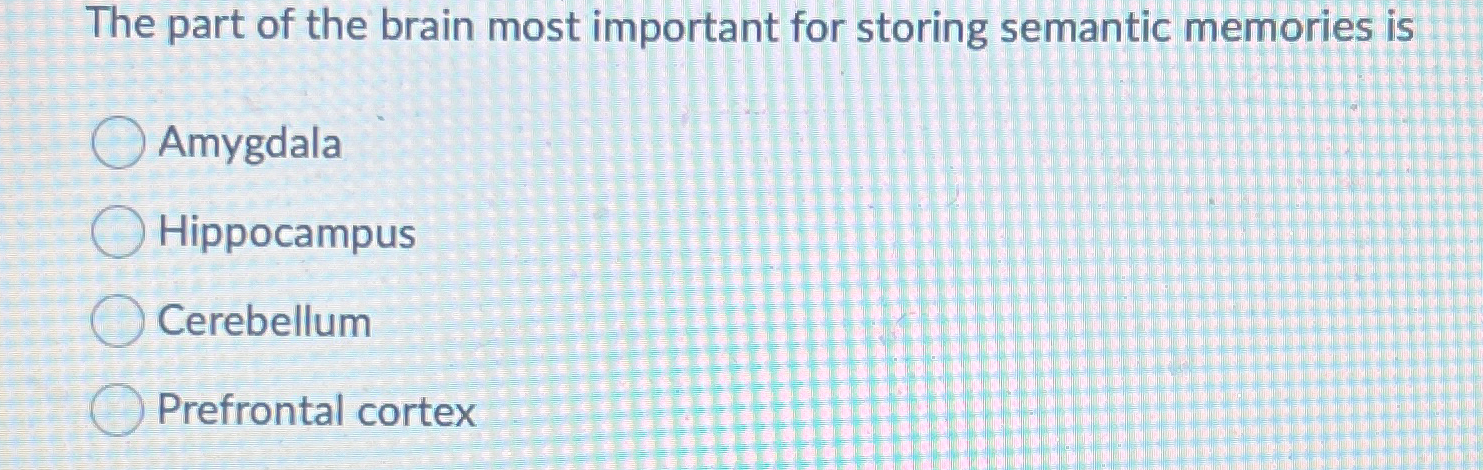 Solved The part of the brain most important for storing | Chegg.com