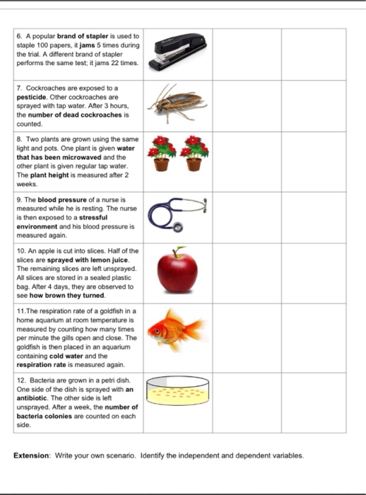 Solved Biology 1000 1 of 1 Understanding Experimental Design | Chegg.com
