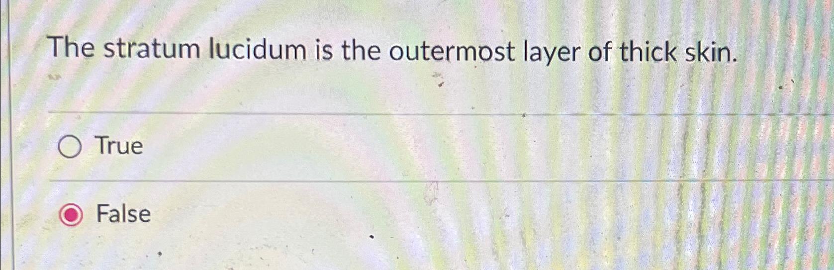 Solved The stratum lucidum is the outermost layer of thick | Chegg.com