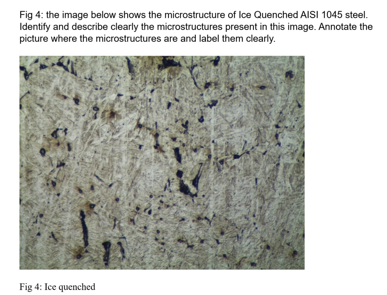Solved Fig 4: the image below shows the microstructure of | Chegg.com