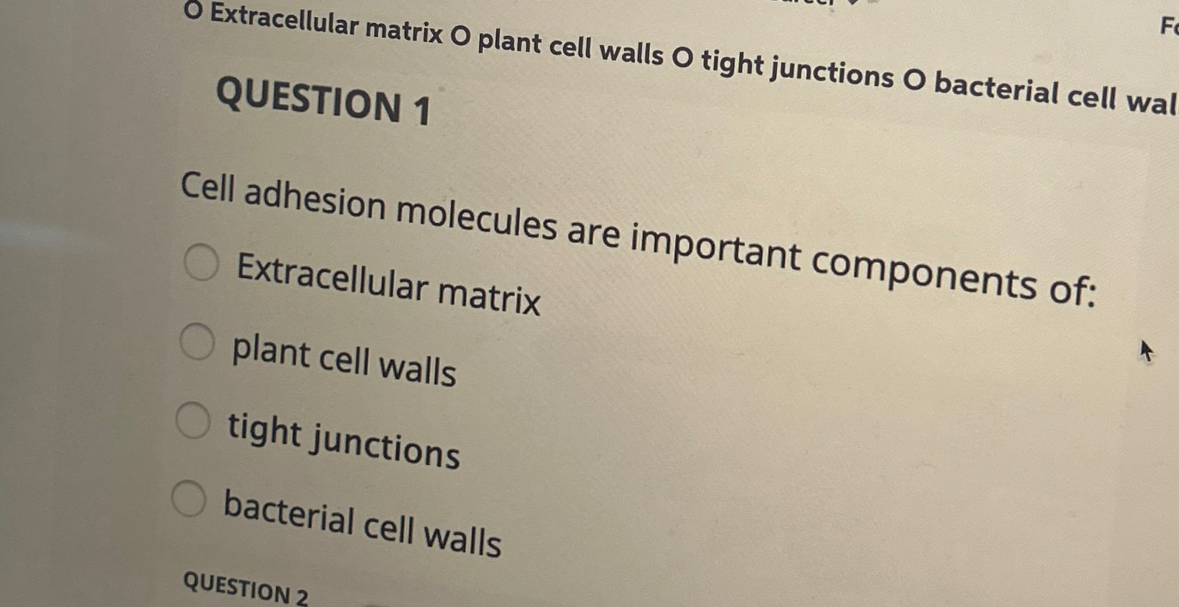 Solved O Extracellular matrix O ﻿plant cell walls O ﻿tight | Chegg.com