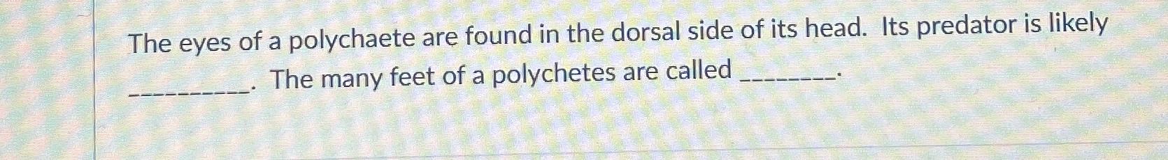 Solved The eyes of a polychaete are found in the dorsal side | Chegg.com
