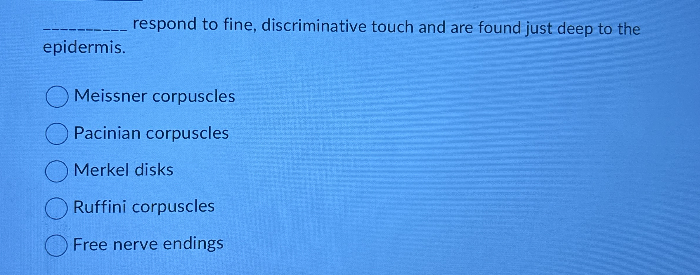 Solved respond to fine, discriminative touch and are found | Chegg.com