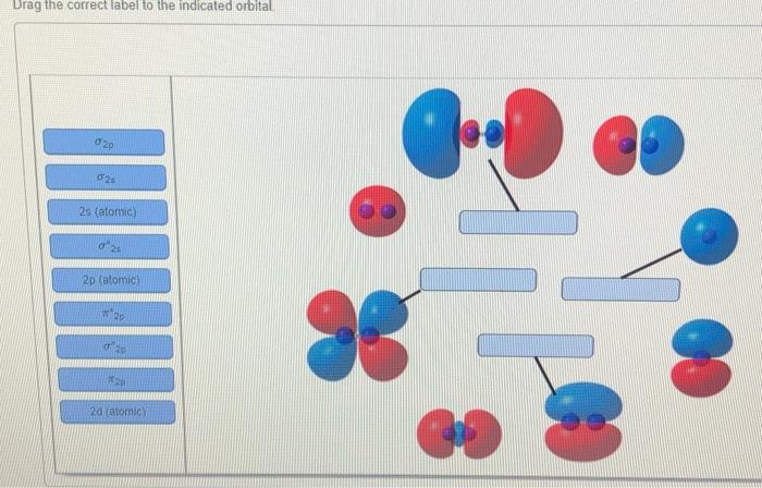 Solved Drag the correct label to the indicated orbital. 020 | Chegg.com