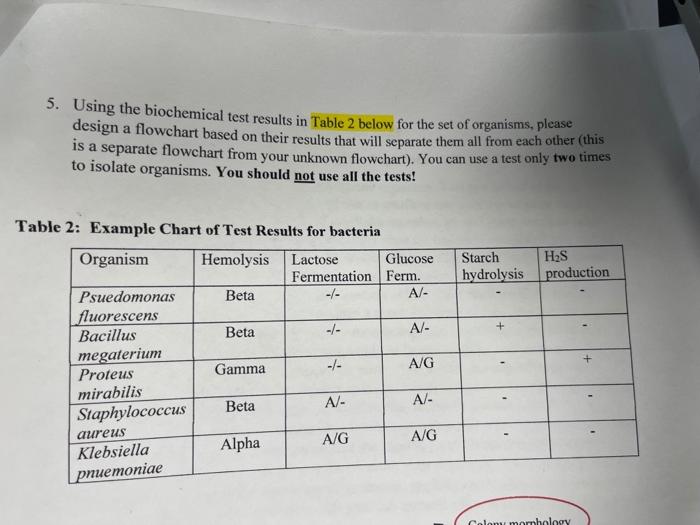 Solved 5. Using the biochemical test results in Table 2 | Chegg.com