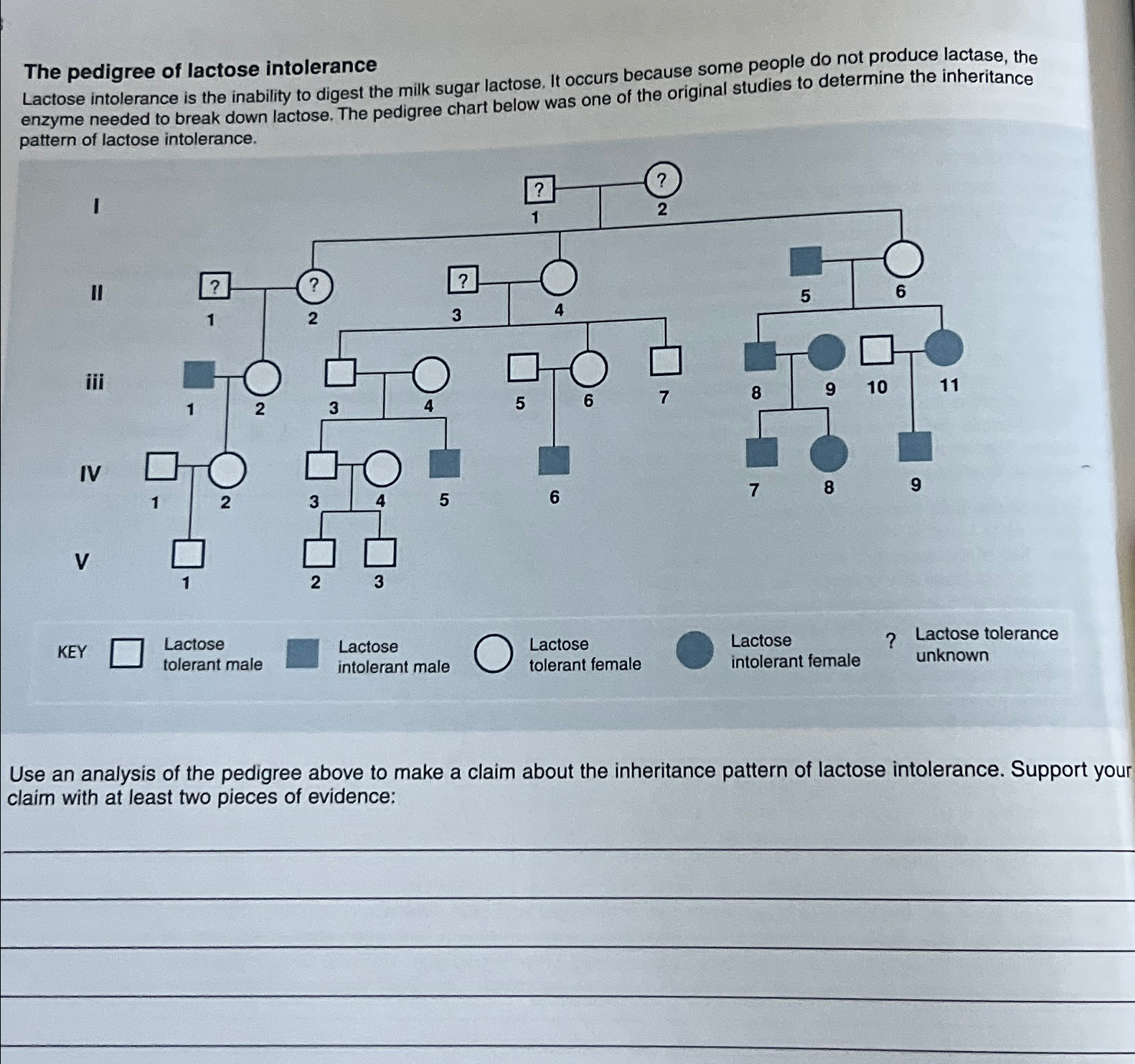 Solved The pedigree of lactose intoleranceLactose | Chegg.com