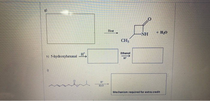 Solved -NH + H2O CH h) S-hydroxyhexanal Mechanism required | Chegg.com