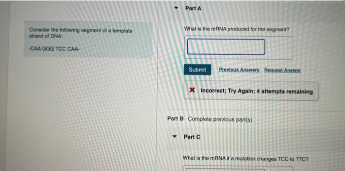 Solved Consider the following segment of a template What is | Chegg.com