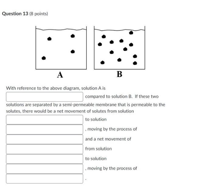 Question 13 (8 points) With reference to the above | Chegg.com