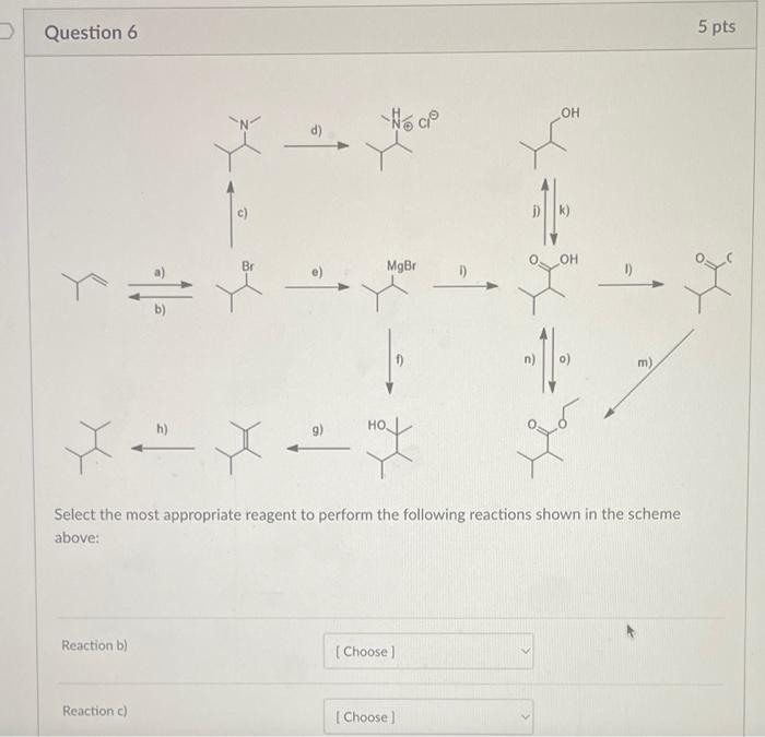 Solved Select the most appropriate reagent to perform the | Chegg.com