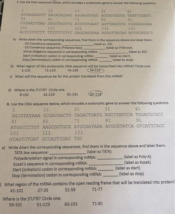 Solved 1. Use the DNA sequence below, which encodes a | Chegg.com