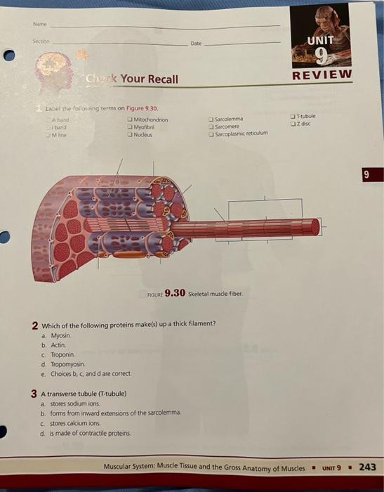 Solved Name Section Date UNIT Chork Your Recall REVIEW Label | Chegg.com