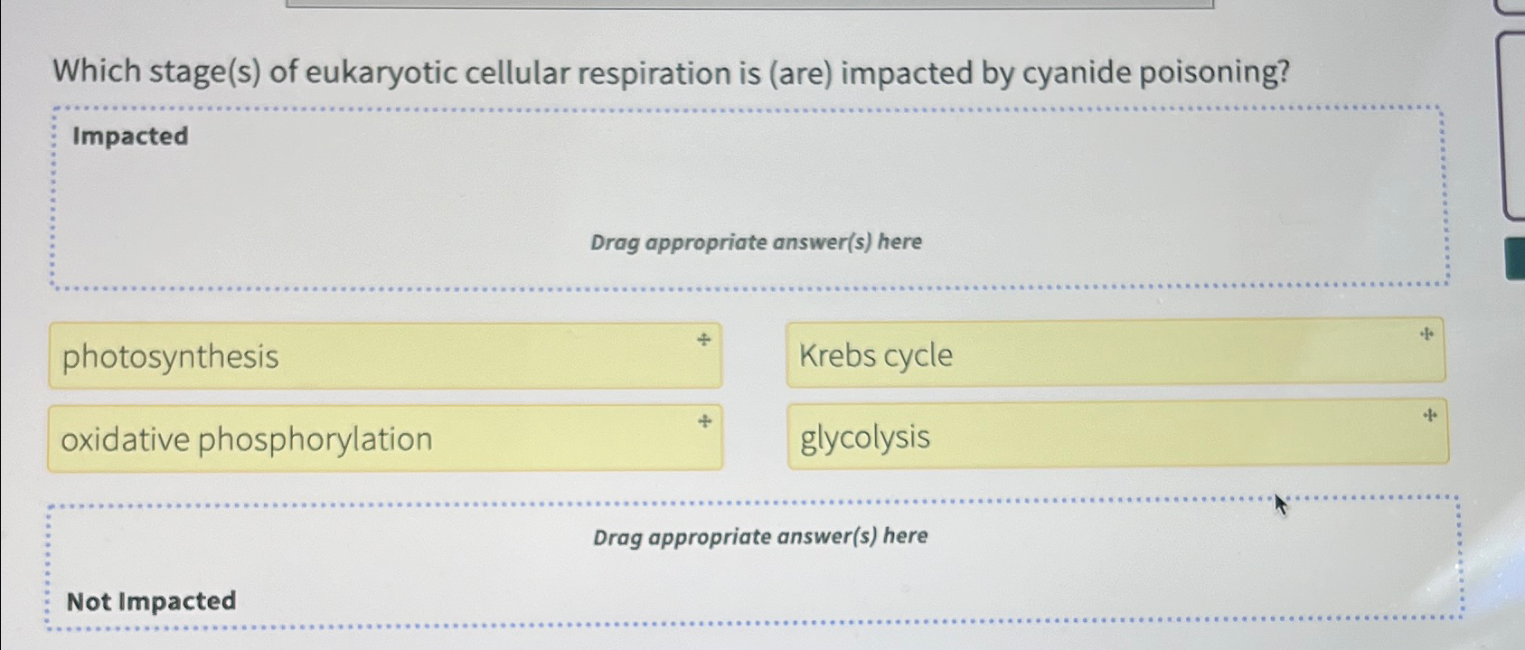 Solved Which stage(s) ﻿of eukaryotic cellular respiration is | Chegg.com