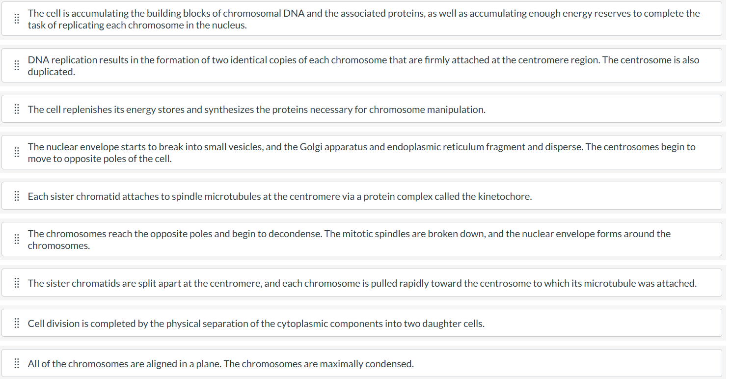 Solved :: The cell is accumulating the building blocks of | Chegg.com