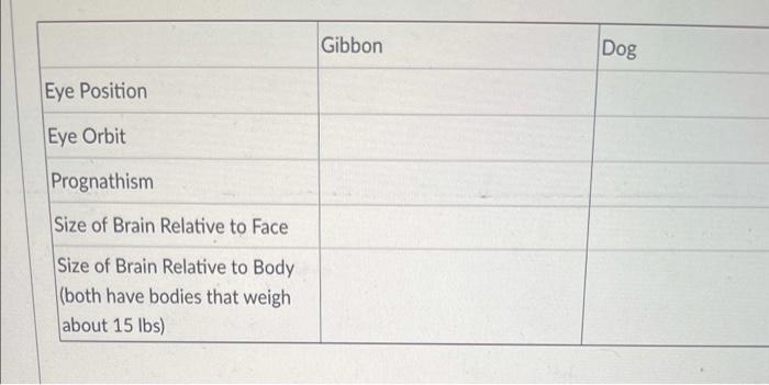 Solved Compare the cranium of the gibbon to the dog. ATLAS | Chegg.com