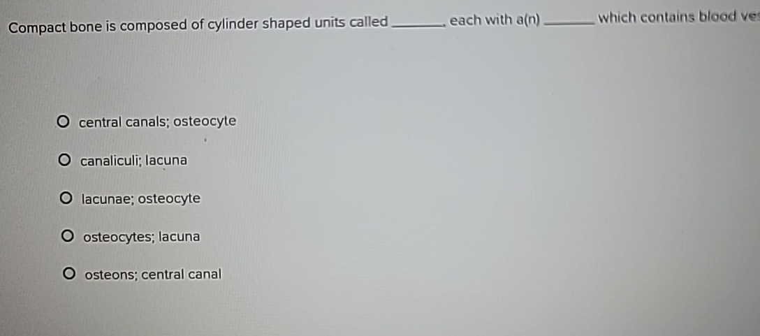 Solved Compact bone is composed of cylinder shaped units | Chegg.com