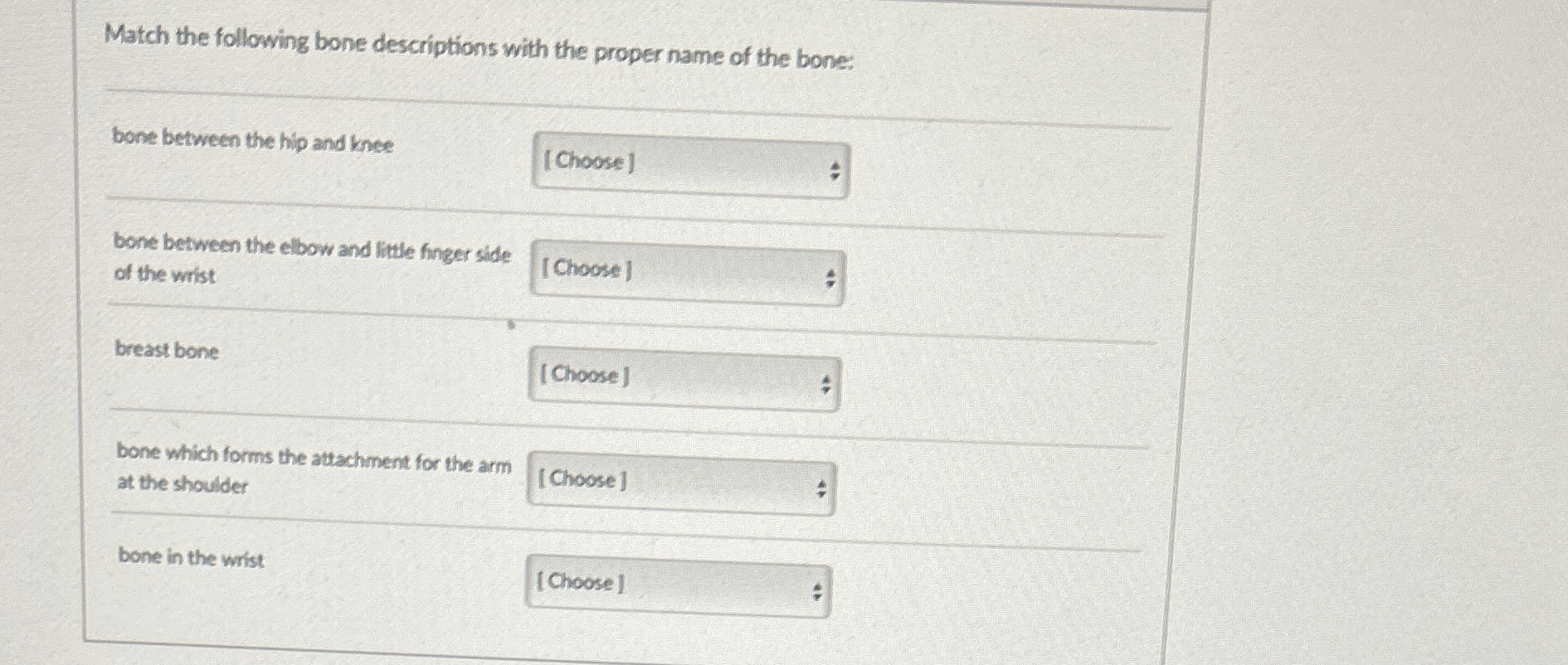 Solved Match the following bone descriptions with the proper | Chegg.com
