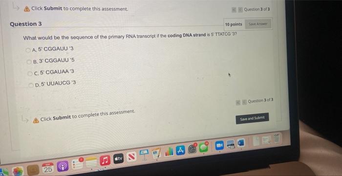 Solved What would be the sequence of the primary RNA | Chegg.com