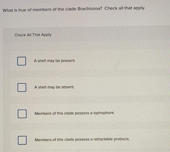 Solved What is true of members of the clade Brachiozoa? | Chegg.com