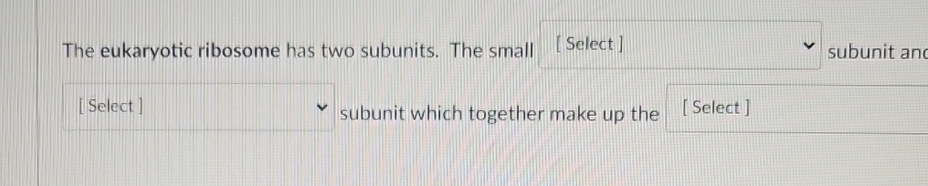 Solved The eukaryotic ribosome has two subunits. The small | Chegg.com