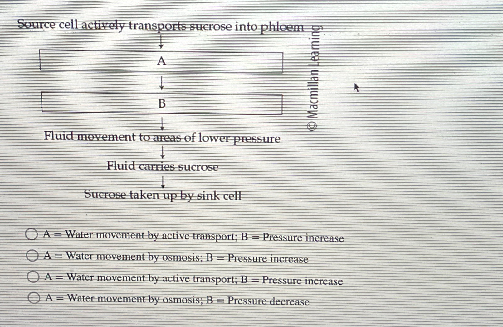Solved Source cell actively transports sucrose into | Chegg.com
