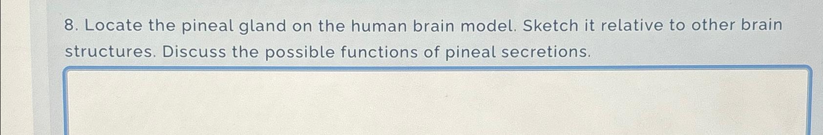 Solved Locate the pineal gland on the human brain model. | Chegg.com