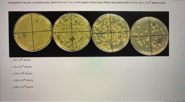 Solved Using plate Das your countable plate, determine cfu's | Chegg.com