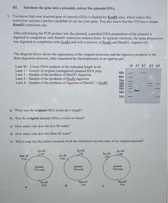 Solved genetics homework!! please help!! note that thsi is | Chegg.com