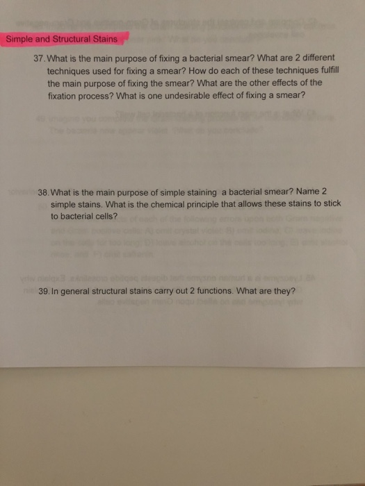 Solved Simple and Structural Stains 37. What is the main | Chegg.com