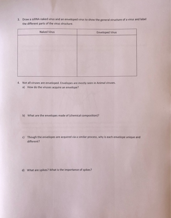 Solved Biol 41 Name: Viruses Homework Compare and contrast a | Chegg.com