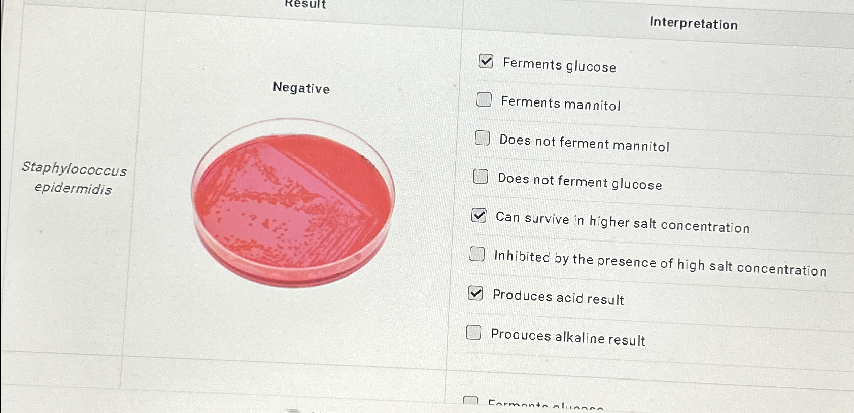 Solved InterpretationFerments glucoseFerments mannitolDoes | Chegg.com