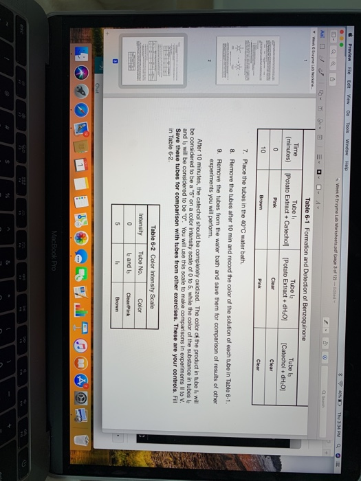 Solved Week 6 Enzyme Lab Worksheets.pdf (page 4 of 12) | Chegg.com