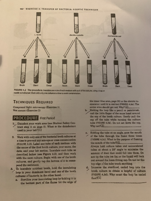 EXERCISE 4: TRANSFER OF BACTERIAL ASEPTIC TECHNIQUE | Chegg.com