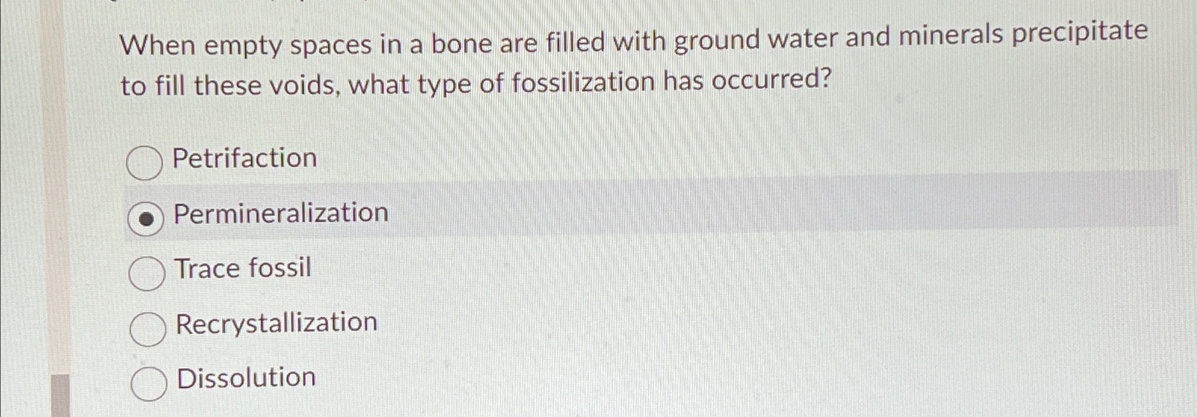 Solved When empty spaces in a bone are filled with ground | Chegg.com