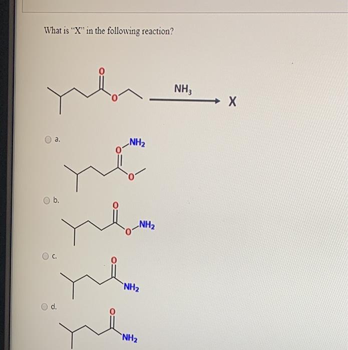 Solved What is "X" in the following reaction? NH3 X NH2 b. | Chegg.com