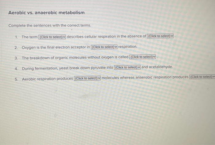 Solved Aerobic vs. anaerobic metabolism Complete the | Chegg.com