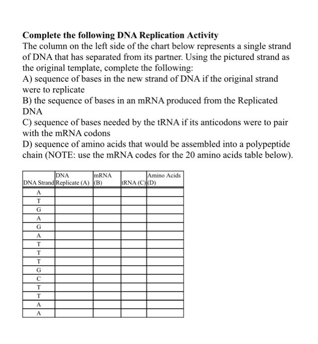 Solved Complete the following DNA Replication Activity The | Chegg.com
