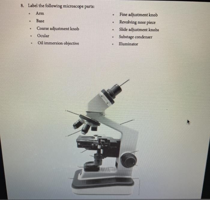 Solved 3 8. Label the following microscope parts: Arm Base | Chegg.com