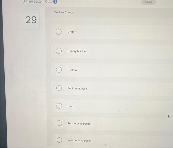 Solved Which structure is highlighted? Multiple Choice | Chegg.com