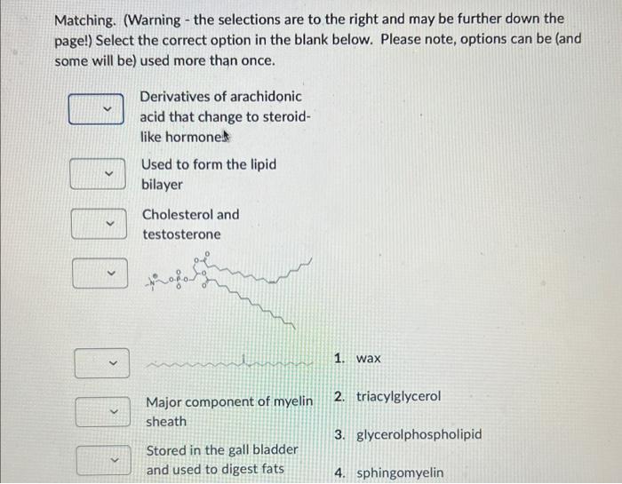 Solved Matching. (Warning - the selections are to the right | Chegg.com