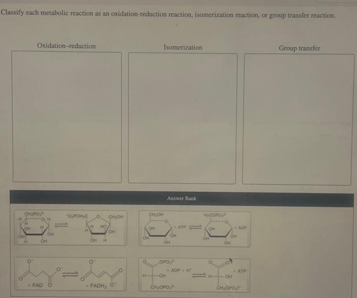 Solved Classify each metabolic reaction as an | Chegg.com