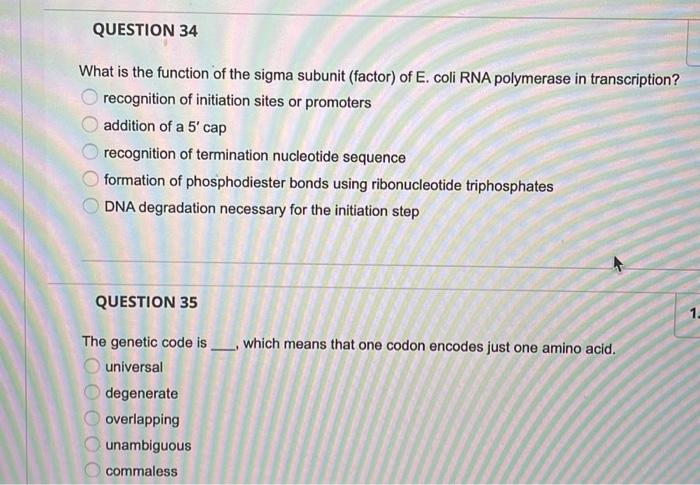 Solved QUESTION 5 The 5' 3' exonuclease activity allows O | Chegg.com